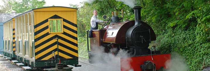 About Us - Amberley Museum